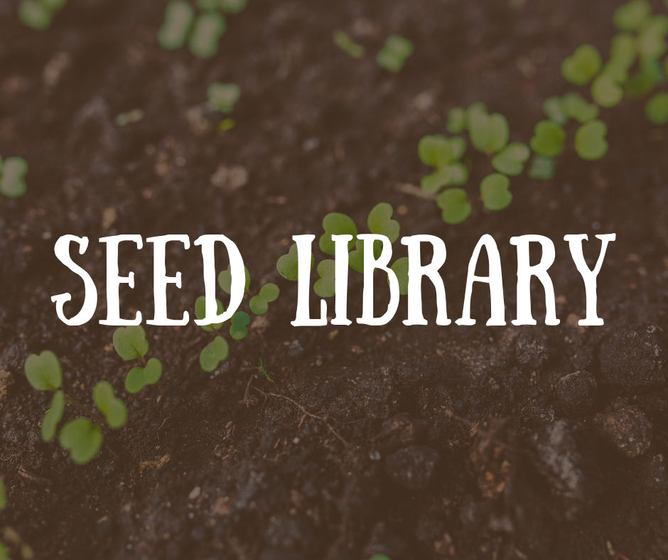 Seed Library web graphic – Moon Township Public Library