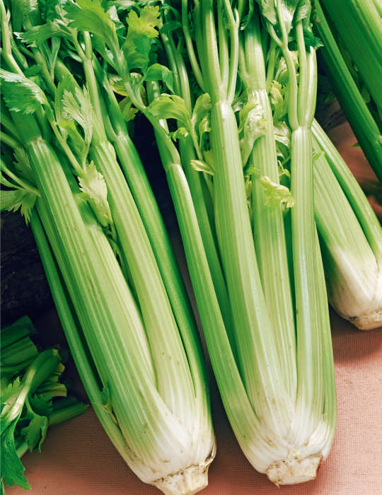 celery – Moon Township Public Library
